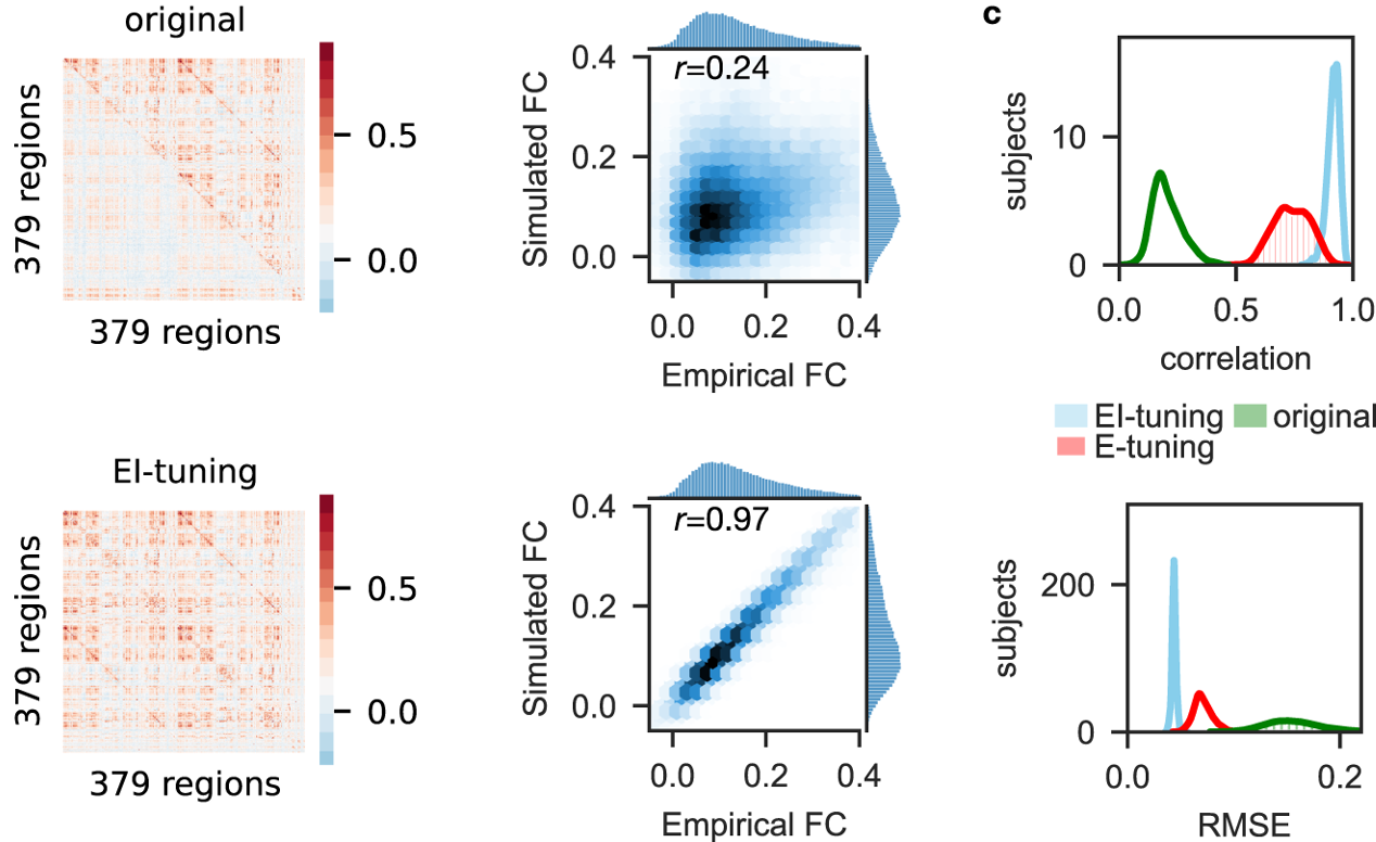 Data Processing for Building Digital Brain Twins with The Virtual Brain